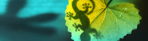 NAAEE Celebrates 50 Years | North American Association for ...