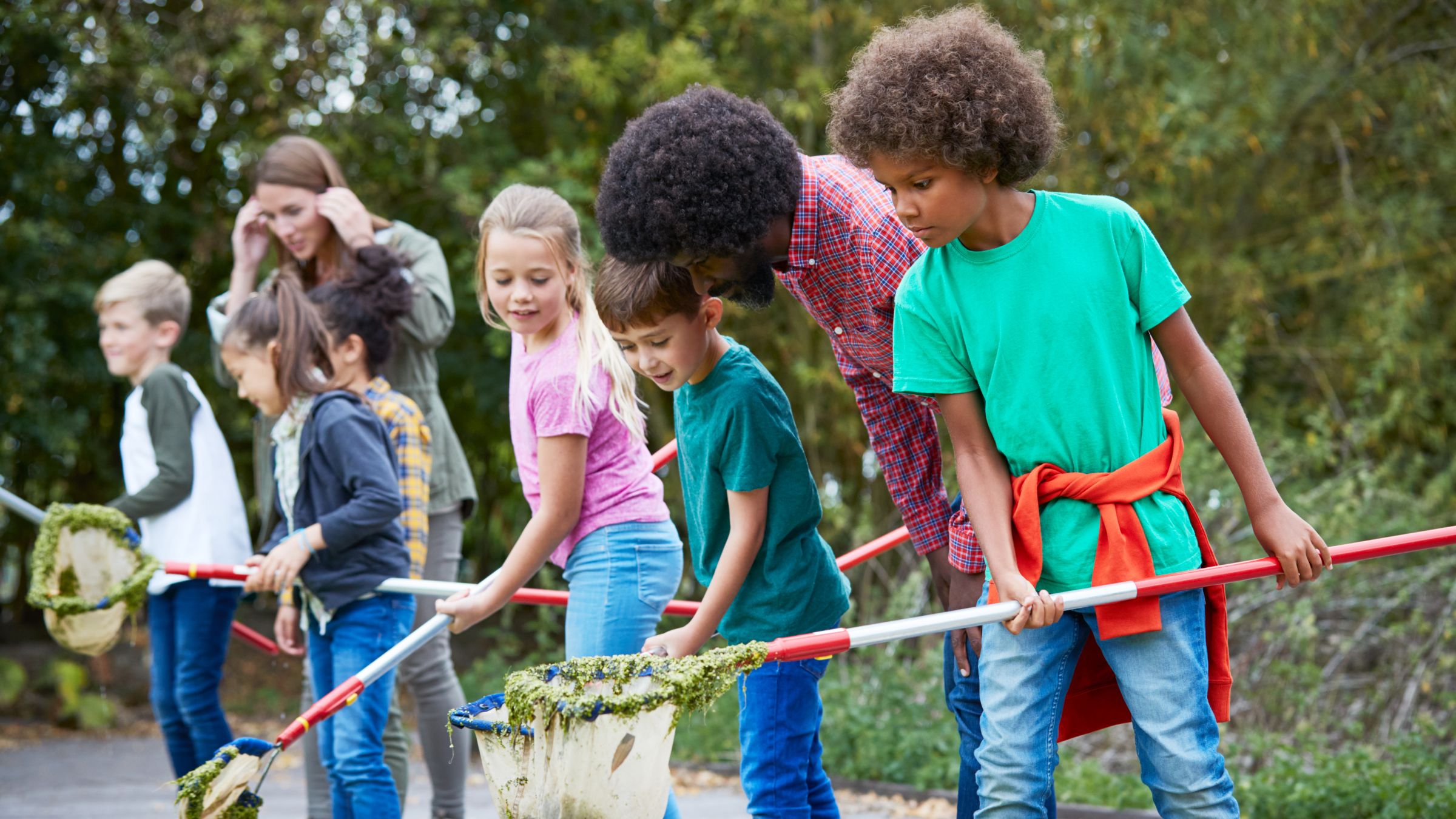 Programs | North American Association for Environmental Education