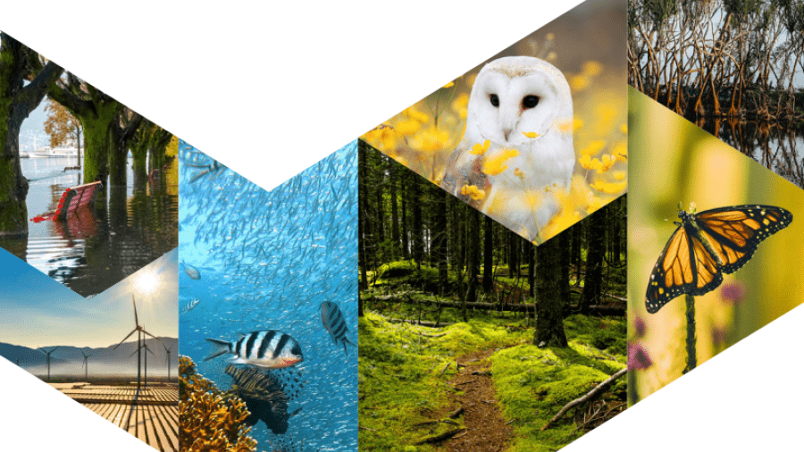 Climate Change Education Resources | North American Association for ...