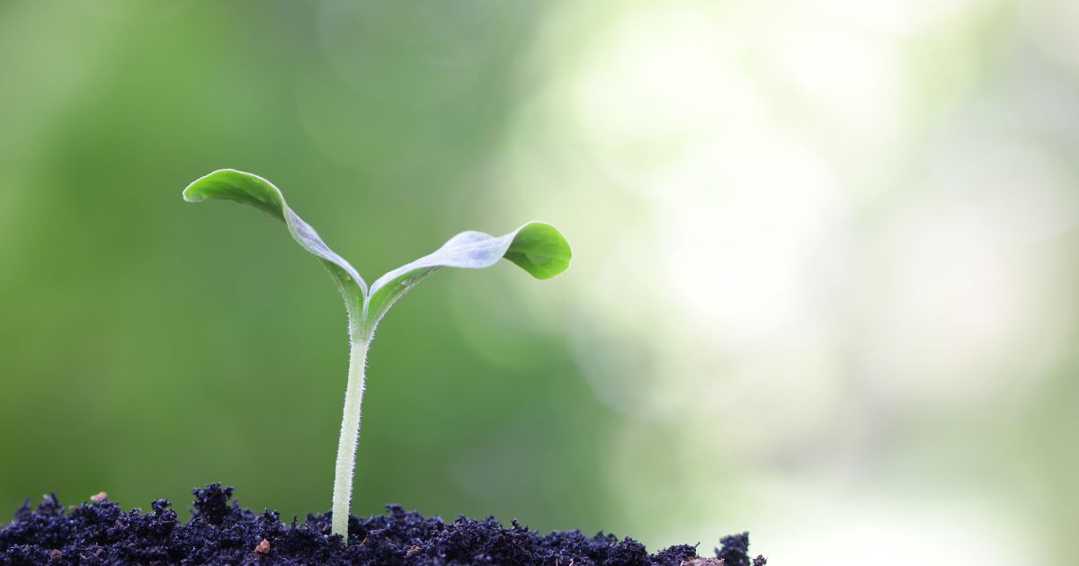 NAAEE Announces Distinguished Nationally Known Slate of Five New ...